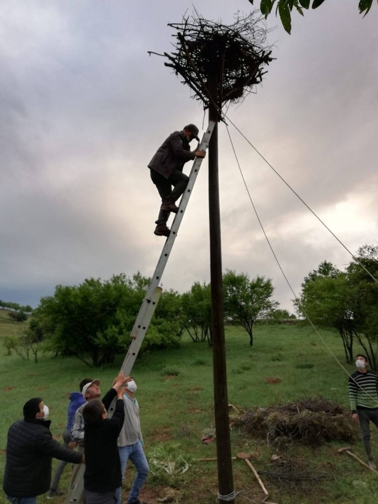 Yıkılan leylek yuvası için seferber oldular - Manşet Türkiye