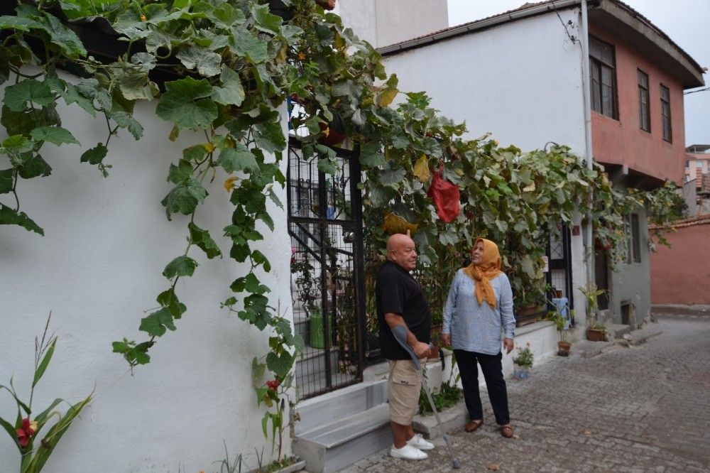 3 ay önce ektiği kabağın boyu 120 metreyi buldu - Manşet Türkiye